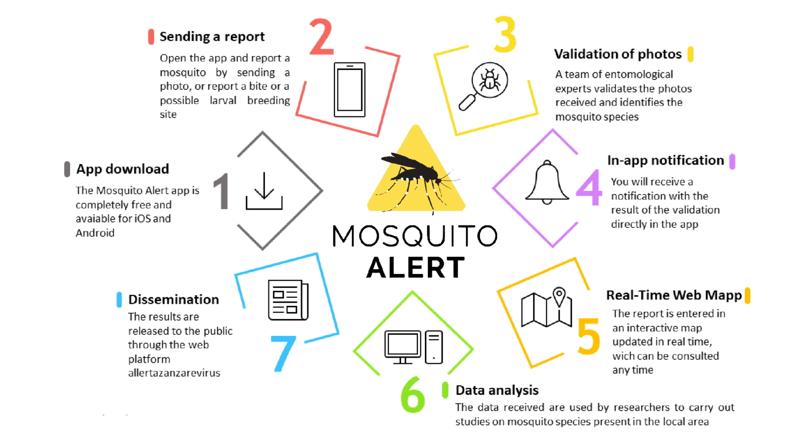 Mosquito alert app: how to track invasive mosquitos with COST Action AIM