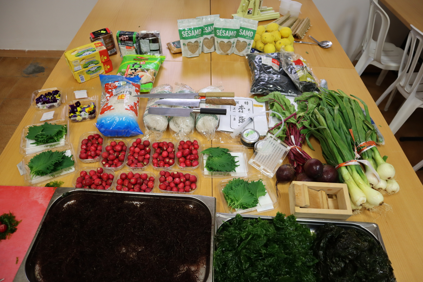 COST Action blog: SeaWheat present why you should eat Ulva