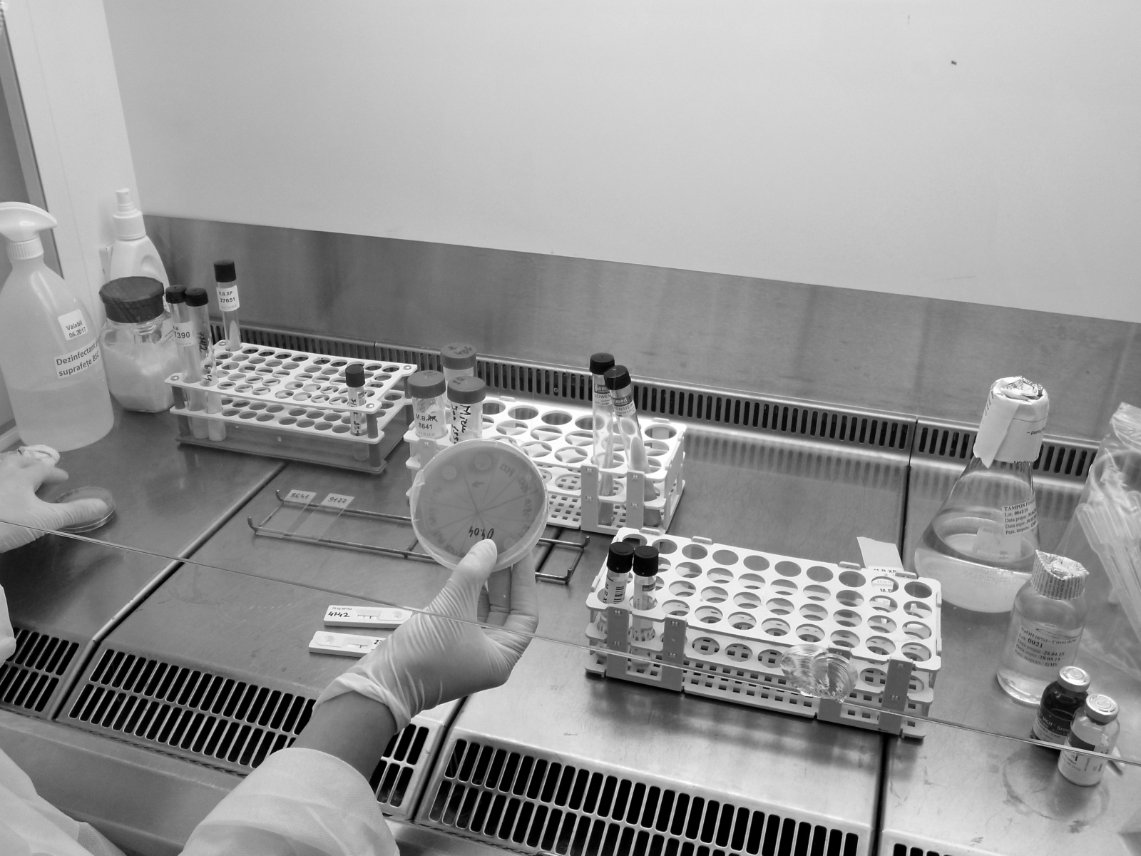 Promising steps towards improving tuberculosis diagnostics and ...