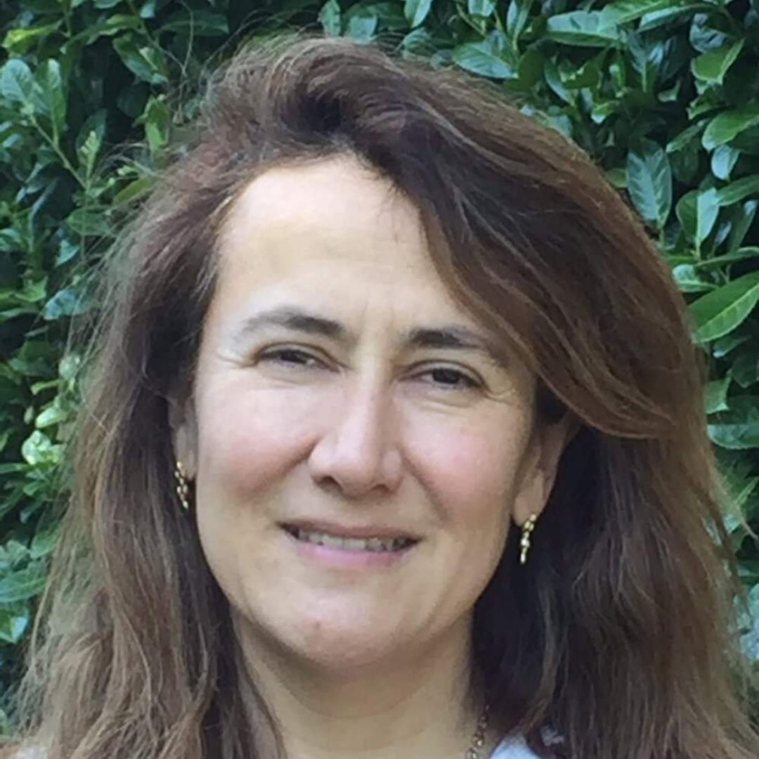 COST Action Blog: What's next for EurofamNet?