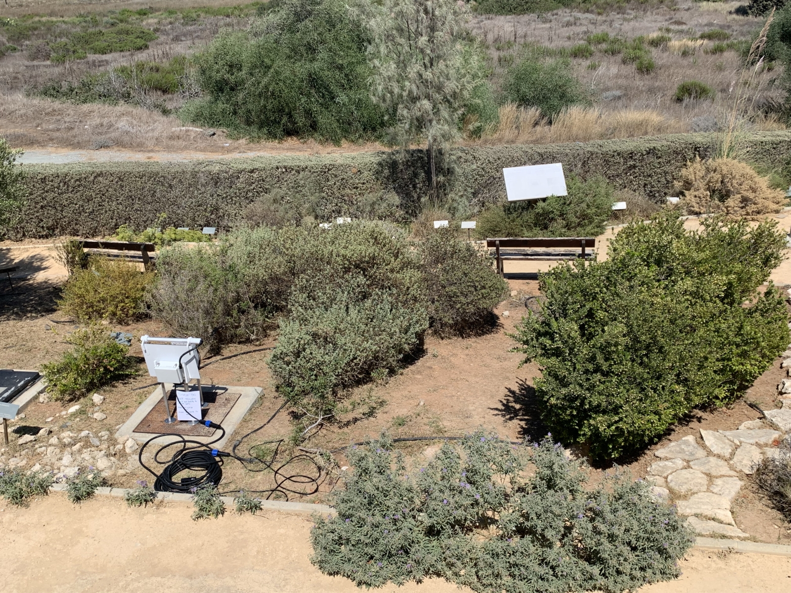 New tools and AI technologies to empower insect research