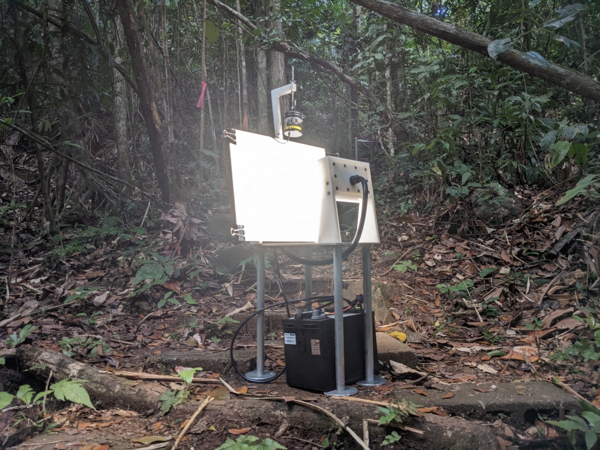 New tools and AI technologies to empower insect research